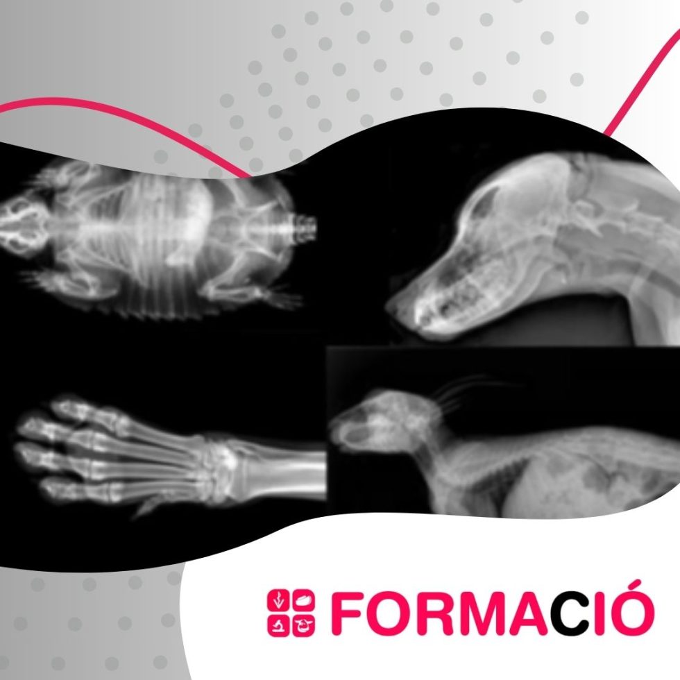 UTPR® TECNODOSIS | Soluciones 360º para el cumplimiento normativo